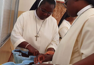 Soilless Farm Lab – Soilless Farming | Hydroponics | Aeroponics ...