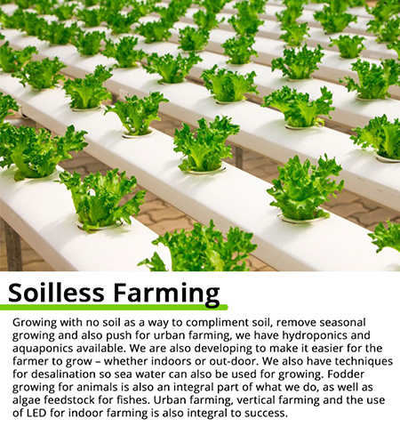 About Us – Soilless Farm Lab