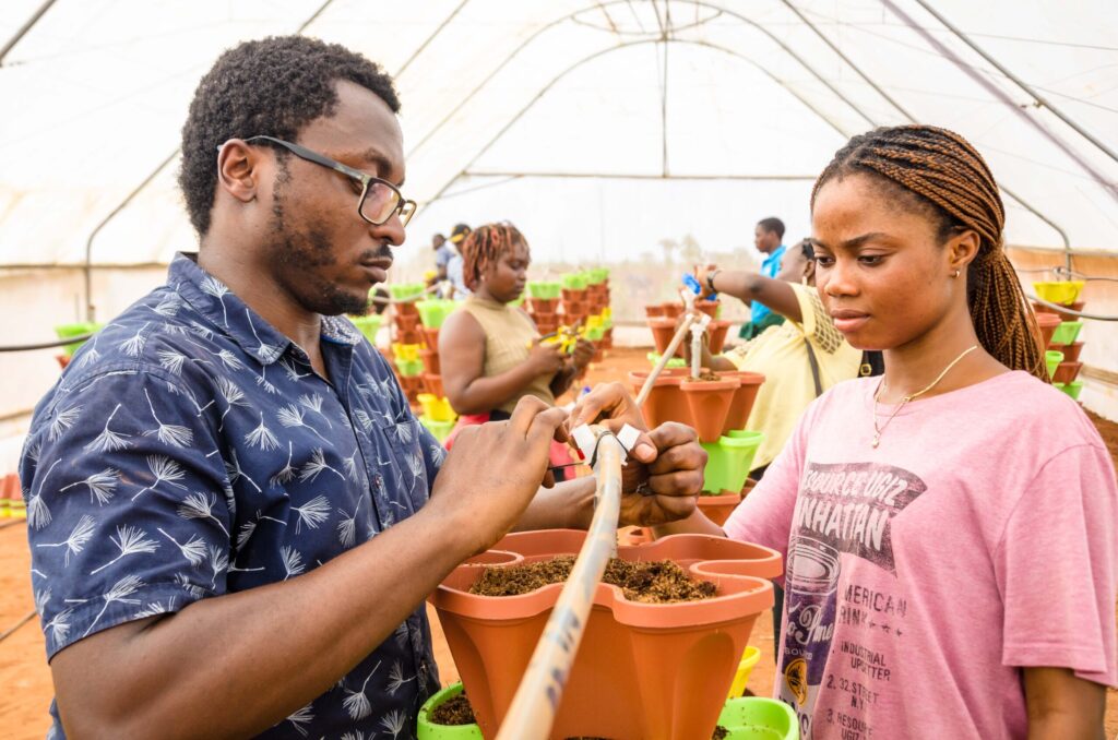 Gallery – Soilless Farm Lab