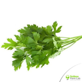 Soilless Farm Lab – Soilless Farming | Hydroponics | Aeroponics ...