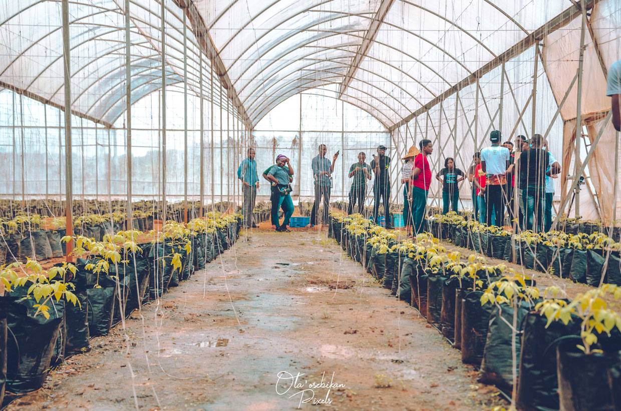 Gallery – Soilless Farm Lab