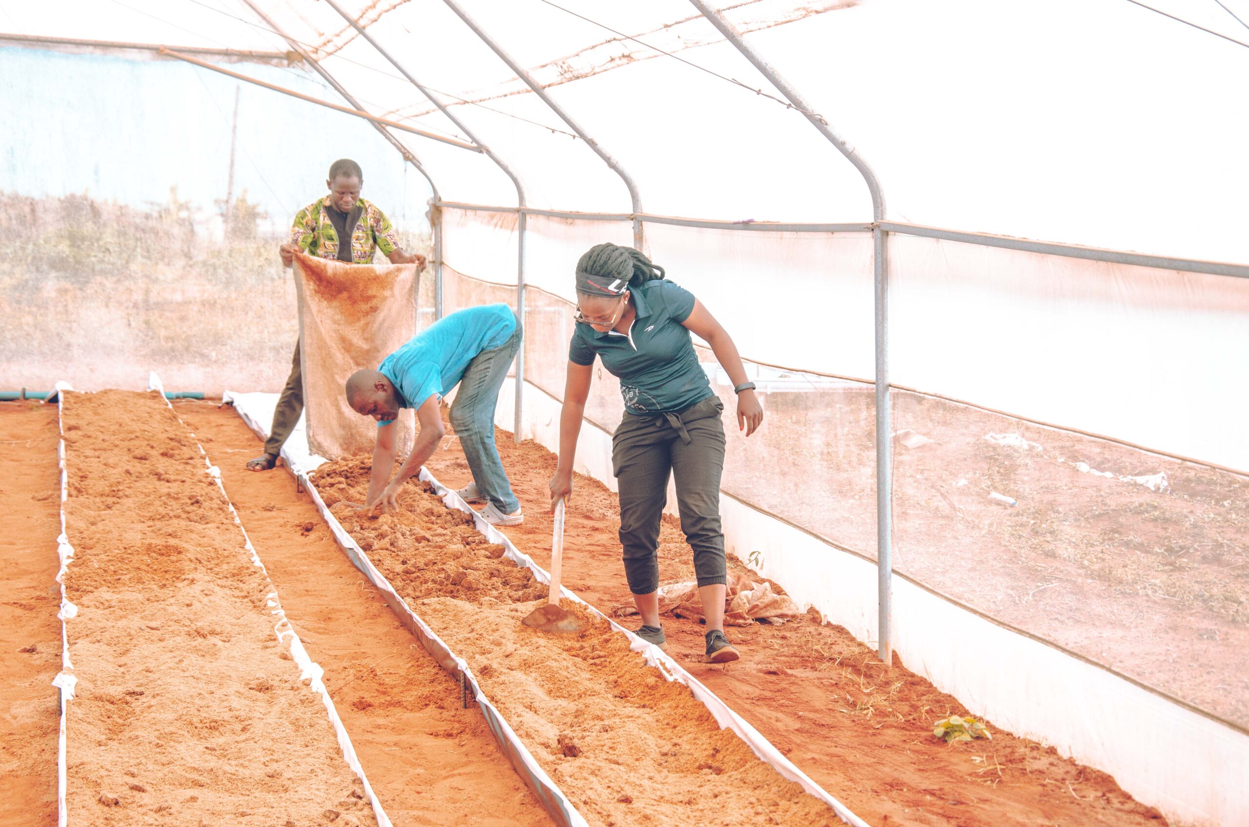 Gallery – Soilless Farm Lab