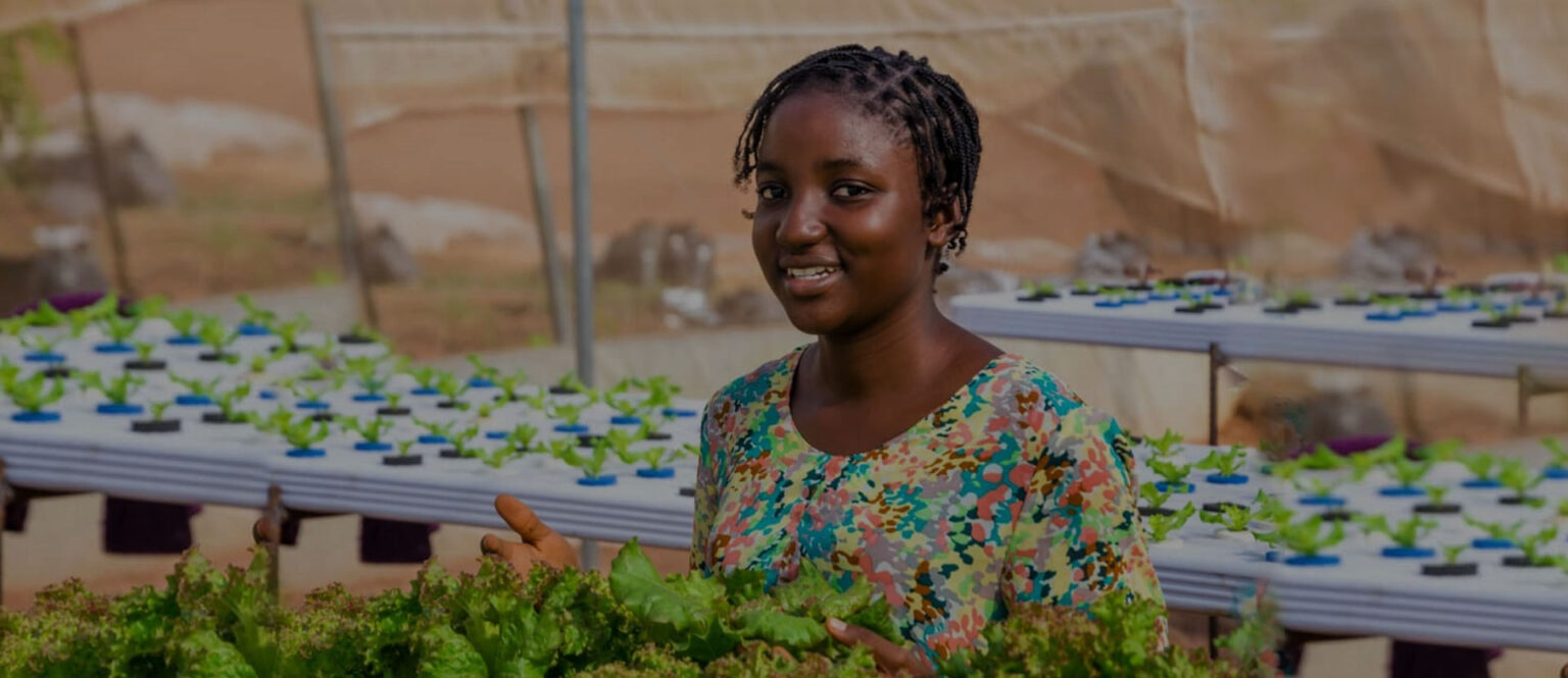 Soilless Farm Lab – Soilless Farming | Hydroponics | Aeroponics ...