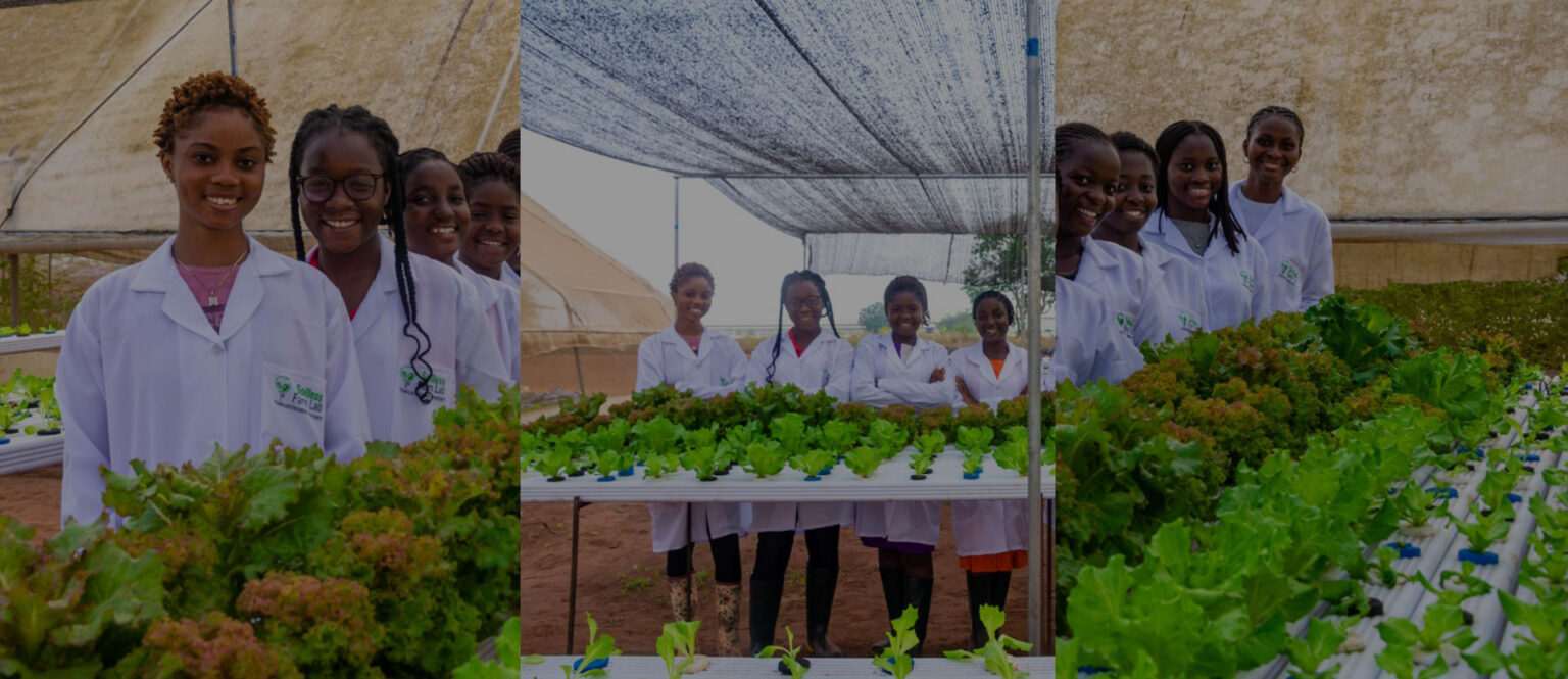 Soilless Farm Lab – Soilless Farming | Hydroponics | Aeroponics ...