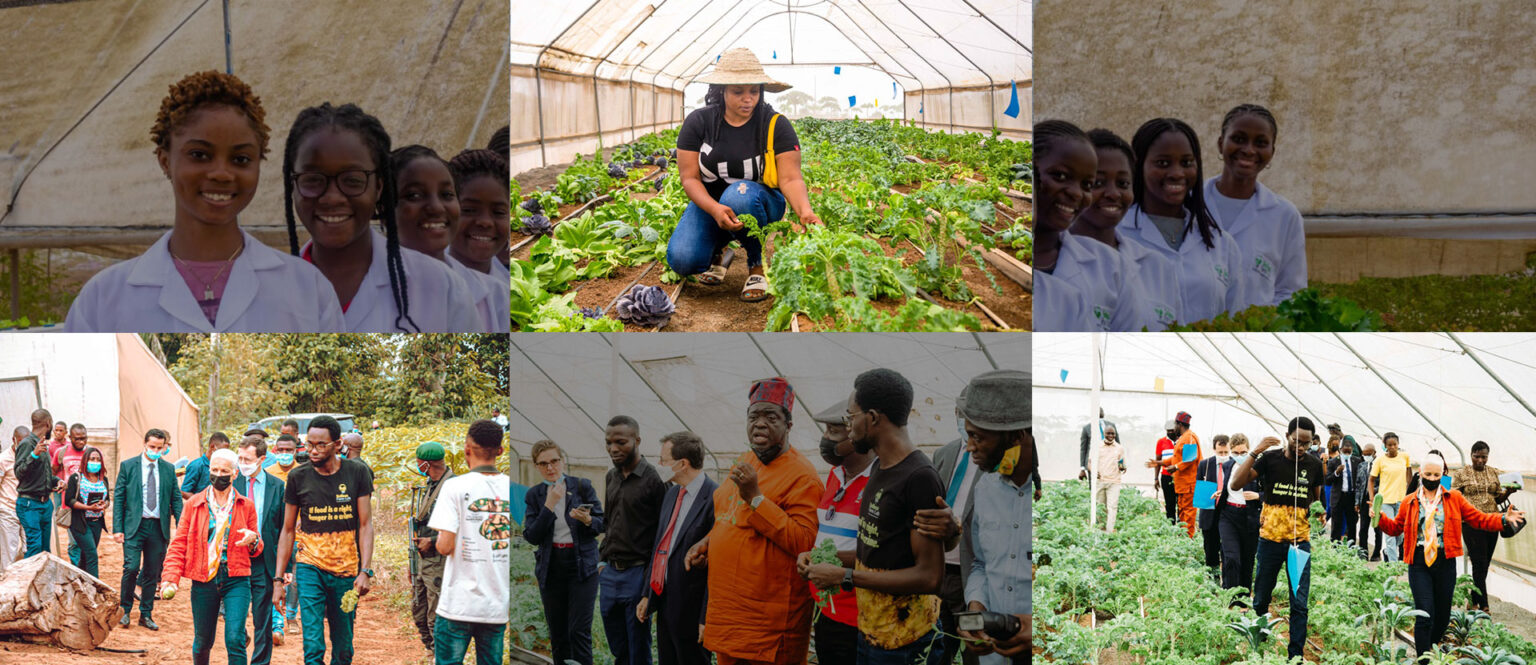 Soilless Farm Lab – Soilless Farming | Hydroponics | Aeroponics ...