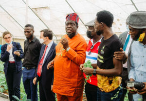 Soilless Farm Lab – Soilless Farming | Hydroponics | Aeroponics ...