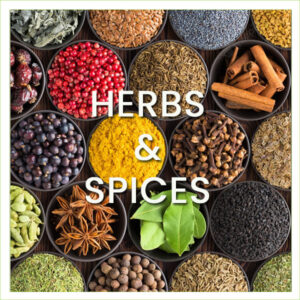 Soilless Farm Lab – Soilless Farming | Hydroponics | Aeroponics ...