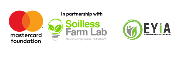 Soilless Farm Lab – Soilless Farming | Hydroponics | Aeroponics ...