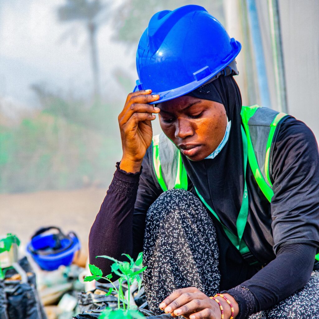 Soilless Farm Lab – Soilless Farming | Hydroponics | Aeroponics ...